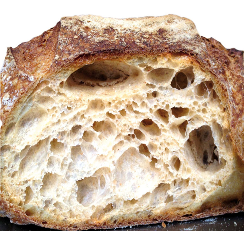 pan_centeno - Dra. Martínez Obiols